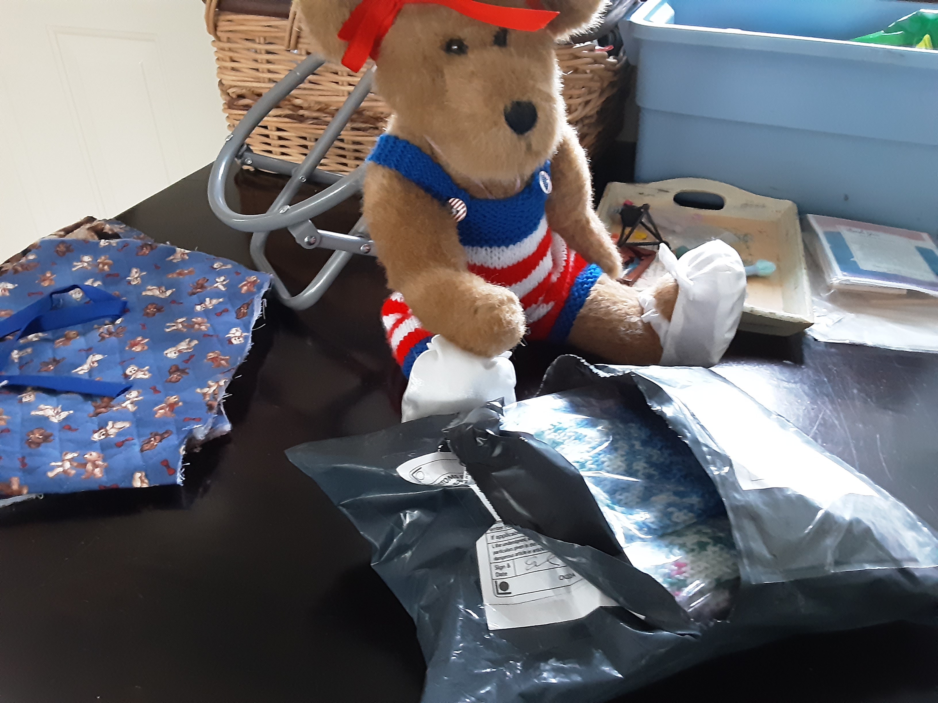 My friend sandy bear gets a package – Hitty Ann Raikes